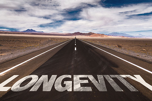 Asset Management Software | Novo Solutions